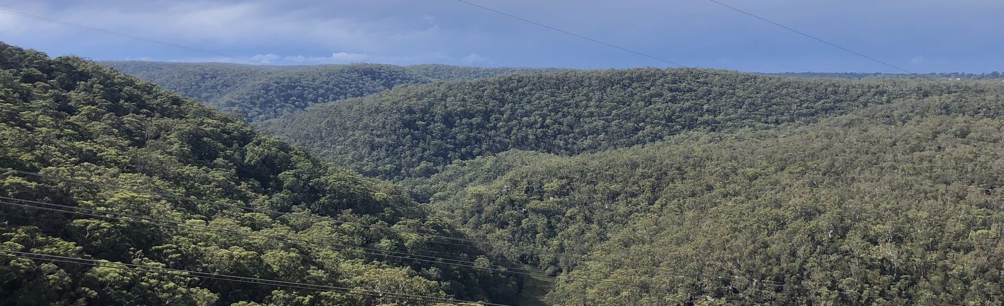 Mount Colah to Cowan Creek: 25 Reviews, Map - New South Wales ...