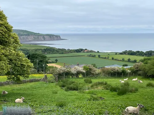 10 Best Walking Trails in Whitby | AllTrails