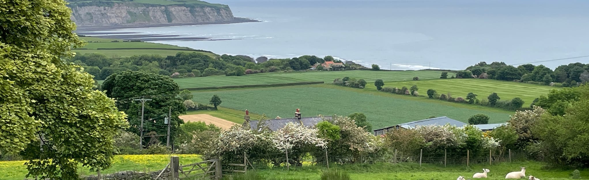 Robin Hood's Bay and Stoupe Brow : 567 Photos - Yorkshire du Nord ...