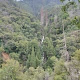 Ladybug Trail, California - 250 Reviews, Map | AllTrails