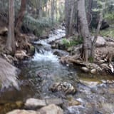 Ladybug Trail, California - 250 Reviews, Map | AllTrails