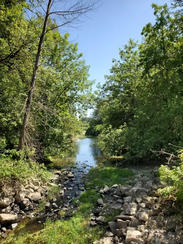 10 Best Trails and Hikes in Salem | AllTrails