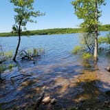 Manchester Pond, Massachusetts - 272 Reviews, Map | AllTrails