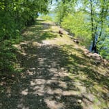 Manchester Pond, Massachusetts - 272 Reviews, Map | AllTrails