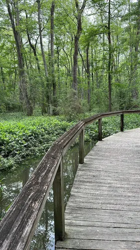 Best Hikes and Trails in Bluebonnet Swamp Nature Center | AllTrails