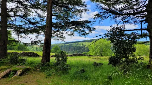10 Best Walking Trails in Hawkshead | AllTrails