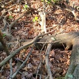 Hal and Berni Hanson Park Loop, Virginia - 104 Reviews, Map | AllTrails