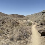 Jack Rabbit Trail, California - 311 Reviews, Map | AllTrails