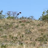 Cattle Point Trail, Washington - 121 Reviews, Map | AllTrails