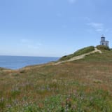 Cattle Point Trail, Washington - 121 Reviews, Map | AllTrails