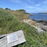 Cattle Point Trail, Washington - 121 Reviews, Map | AllTrails