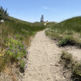 Cattle Point Trail, Washington - 121 Reviews, Map | AllTrails