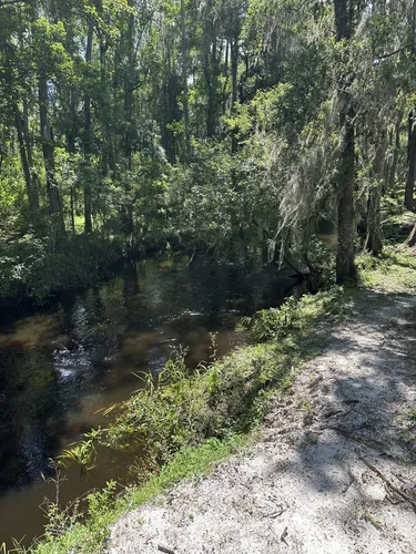 2023 Best Views Trails in Lower Green Swamp Nature Preserve | AllTrails
