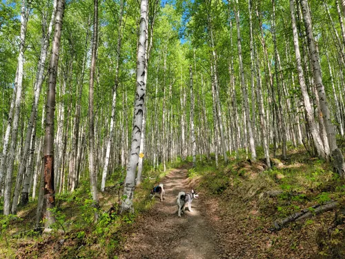 Best Hikes and Trails in Isberg Recreation Area | AllTrails