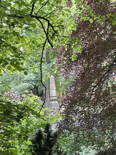 Best Hikes and Trails in Balgay Hill | AllTrails