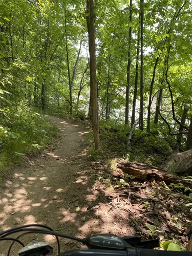 2023 Best Lake Trails in Fort Custer Recreation Area | AllTrails