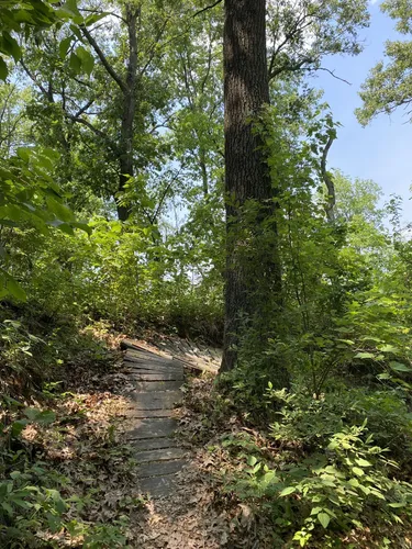 2023 Best Lake Trails in Fort Custer Recreation Area | AllTrails