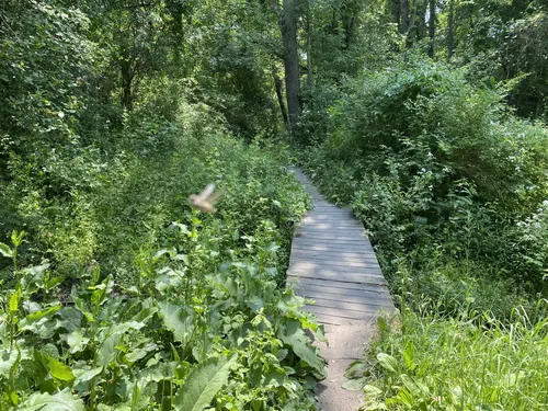 2023 Best Lake Trails in Fort Custer Recreation Area | AllTrails