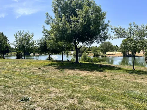 Best Hikes and Trails in North Natomas Regional Park | AllTrails