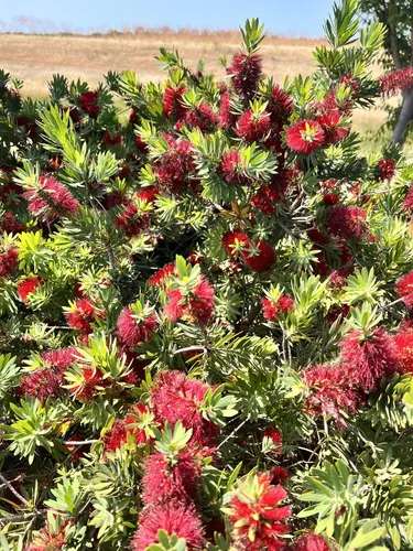 Best Hikes and Trails in North Natomas Regional Park | AllTrails