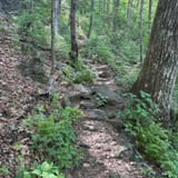 Jarrard Gap, Slaughter Creek, and Appalachian Trail Loop, Georgia - 433 ...