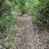 Jarrard Gap, Slaughter Creek, and Appalachian Trail Loop, Georgia - 433 ...