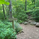 Jarrard Gap, Slaughter Creek, and Appalachian Trail Loop, Georgia - 433 ...