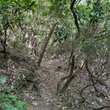 Jarrard Gap, Slaughter Creek, and Appalachian Trail Loop, Georgia - 433 ...