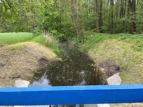 Best Hikes and Trails in General Dezydery Chłapowski Landscape Park ...