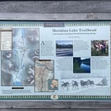 Grayling Lake Trail, Alaska - 108 Reviews, Map | AllTrails
