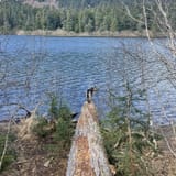 Grayling Lake Trail, Alaska - 108 Reviews, Map | AllTrails