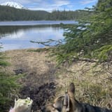 Grayling Lake Trail, Alaska - 108 Reviews, Map | AllTrails