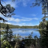 Grayling Lake Trail, Alaska - 108 Reviews, Map | AllTrails
