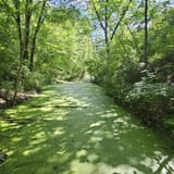 Pyramid State Park Loop Trail, Illinois - 235 Reviews, Map | AllTrails