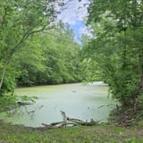 Pyramid State Park Loop Trail, Illinois - 235 Reviews, Map | AllTrails