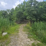 Pyramid State Park Loop Trail, Illinois - 235 Reviews, Map | AllTrails