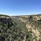 Cliff Palace Loop Trail, Colorado - 323 Reviews, Map | AllTrails