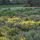 Wood River Trail: Ketchum to Hailey, Idaho - 117 Reviews, Map | AllTrails