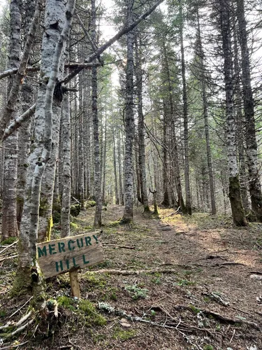 Best Hikes and Trails in Massey Drive | AllTrails