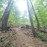 Washington Valley Park Trail, New Jersey - 648 Reviews, Map | AllTrails