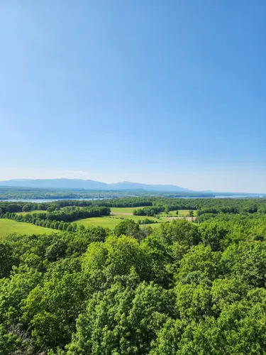 Best Hikes and Trails in Ferncliff Forest | AllTrails