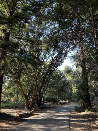 Best Hikes and Trails in Lodi Lake Park | AllTrails