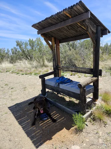 Best Hikes and Trails in Acker Park | AllTrails