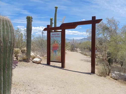 Best Hikes and Trails in Arthur Pack Regional Park | AllTrails