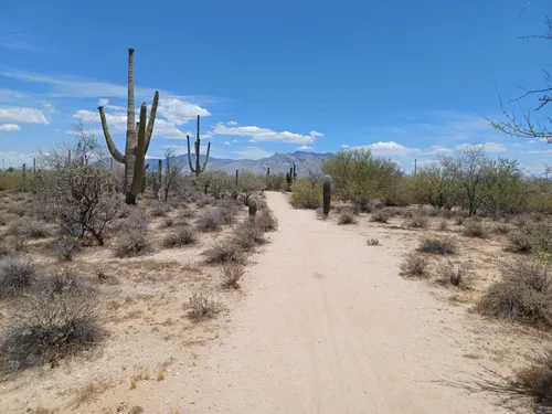 Best Hikes and Trails in Arthur Pack Regional Park | AllTrails