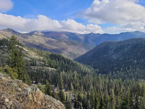 Best Dog Friendly Trails in Klamath National Forest | AllTrails