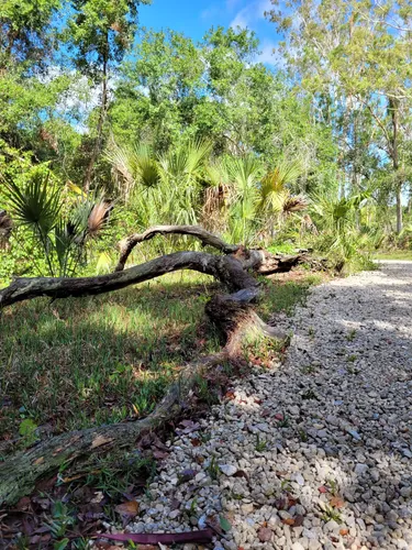 Best Hikes and Trails in Pebble Park | AllTrails