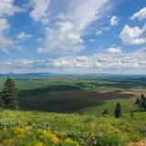Kamiak Butte Trail, Washington - 675 Reviews, Map | AllTrails