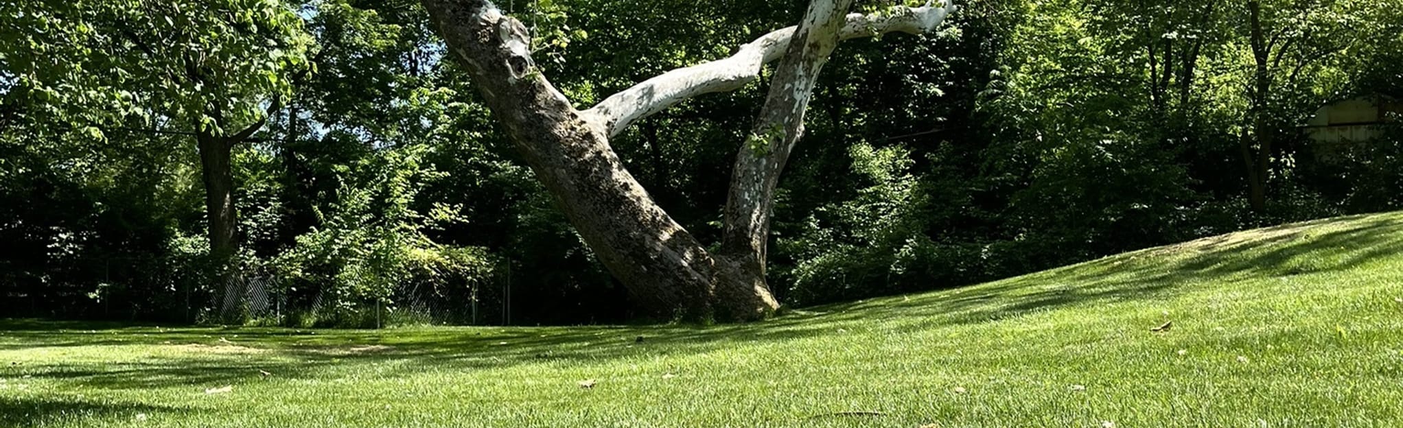 Craig Park Loop, Indiana - 102 Reviews, Map | AllTrails