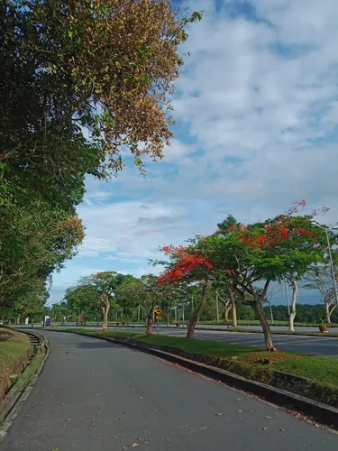 Best Hikes and Trails in Hutan Simpan Bukit Perangin | AllTrails